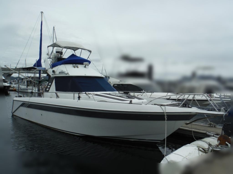 ヤマハ UF26-C/C 船外機 | life777