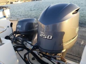 ヤマハ UF26-C/C 船外機 | life777