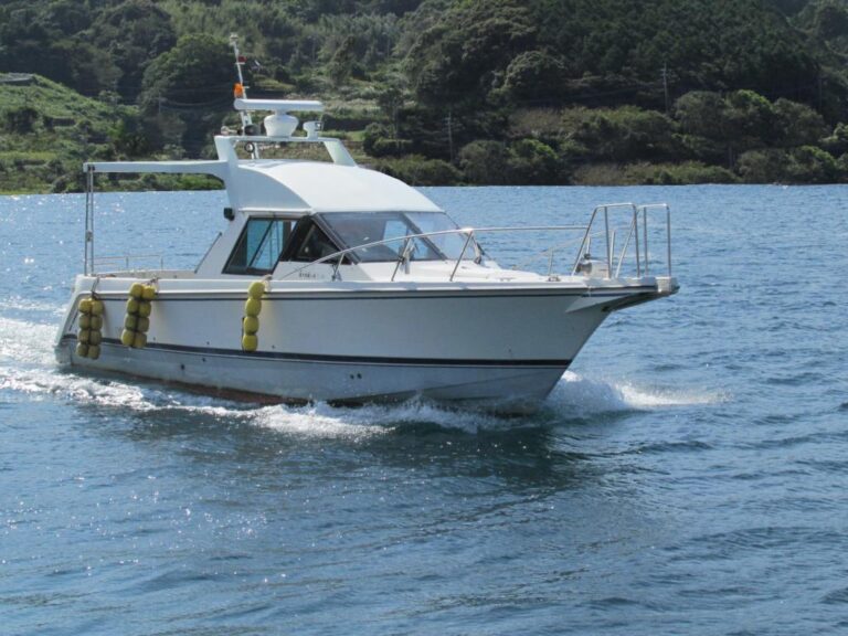 ヤマハ FR34-Ⅱ改 フライブリッジ改造艇 ワイドなFRP製オーニング設置 | life777