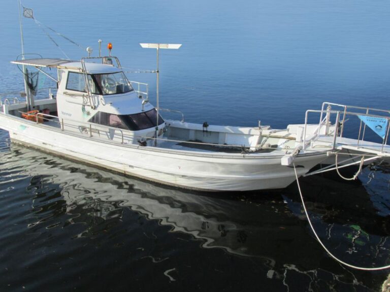 ヤンマー あらしおDE31BF | life777